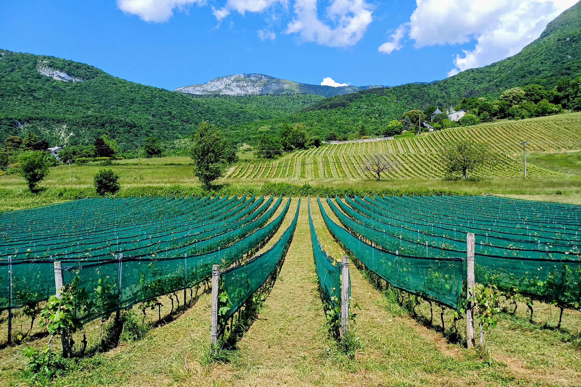 Accueil - Agritech Protection